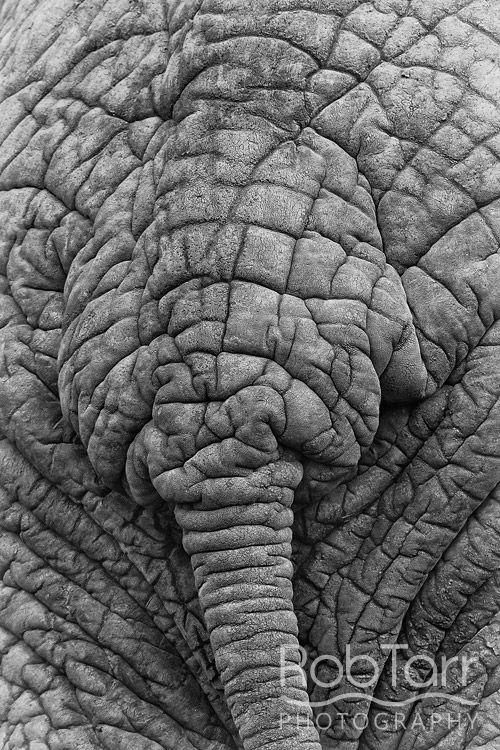 Photo Journalism South Africa - Wildlife & Nature Photography Cape Town ...