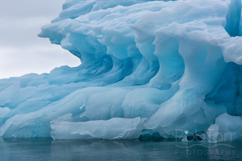 Photo Journalism South Africa - Wildlife & Nature Photography Cape Town ...